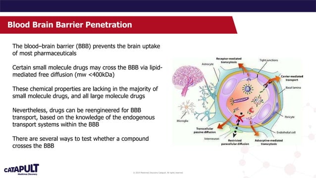 MDC Connect: Imaging technologies to understand the pharmacokinetics ...