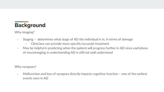 In vivo measurement of widespread synaptic loss in Alzheimer’s Disease with SV2A PET (2).pptx