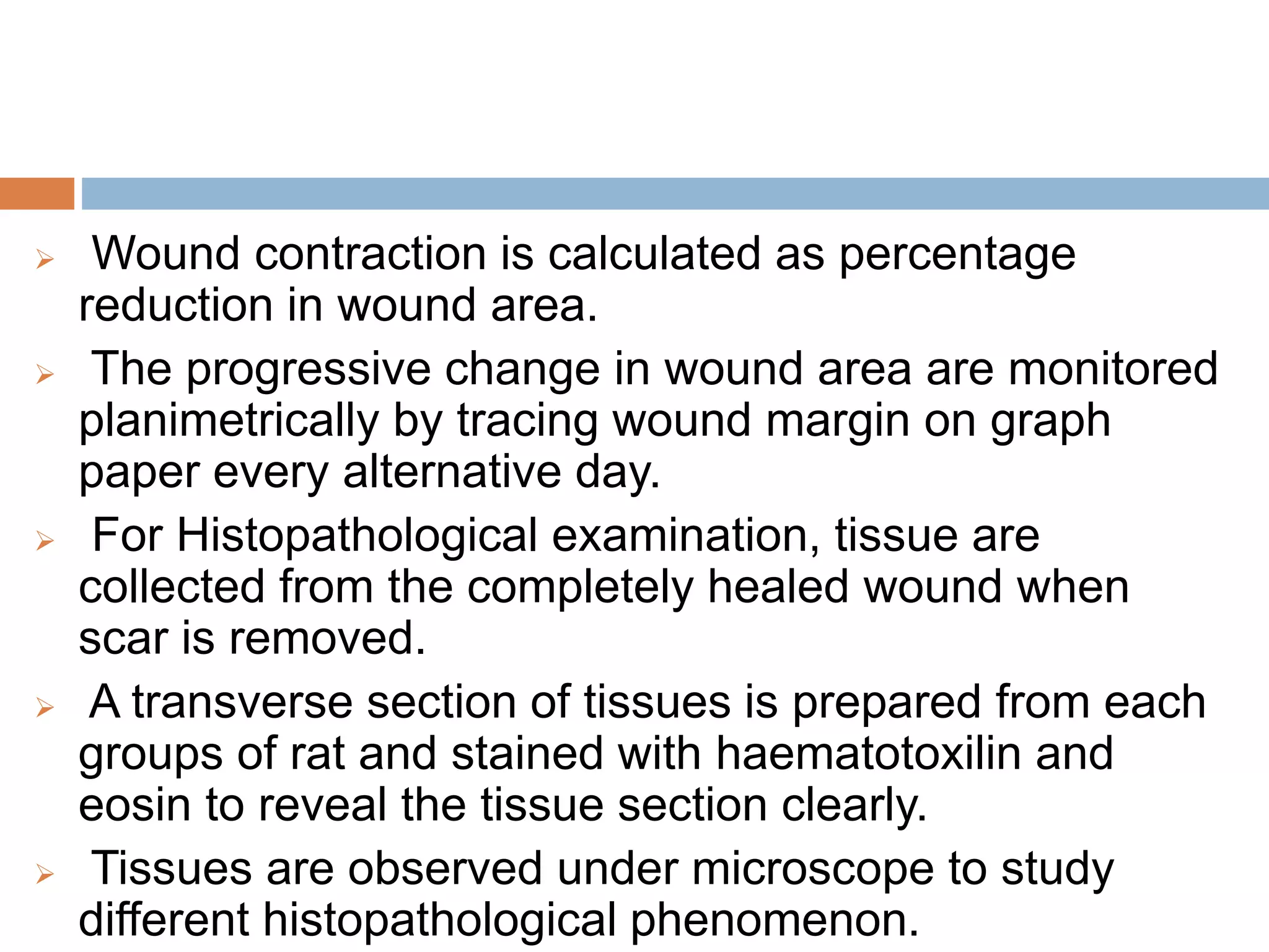In vivo studies of wound healing and hepatoprotective agents | PPTX