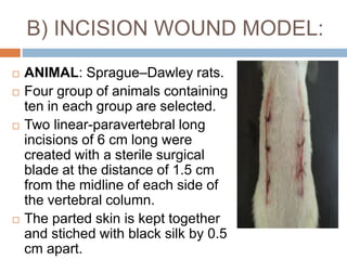 In vivo studies of wound healing and hepatoprotective agents | PPTX