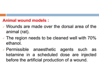 In vivo studies of wound healing and hepatoprotective agents | PPTX