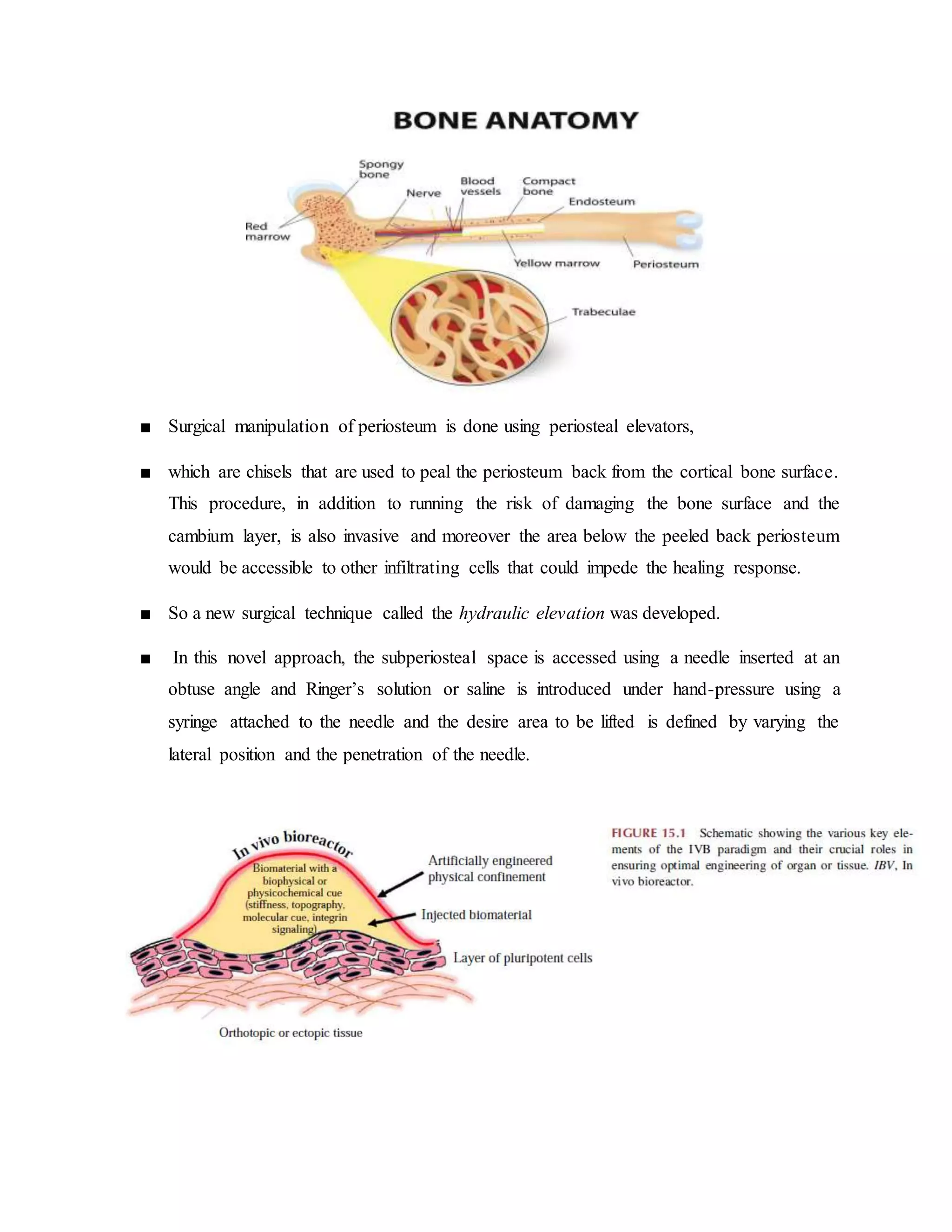 In vivo synthesis of tissues and organs | PDF