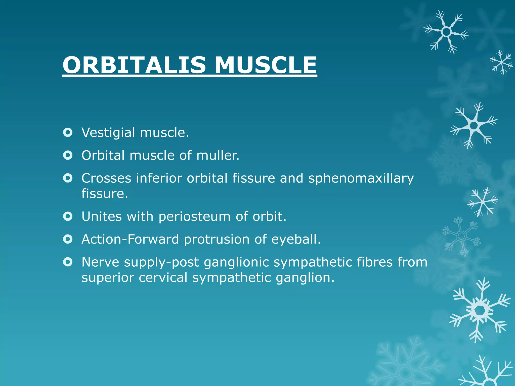 Involuntary extraocular muscles | PPTX