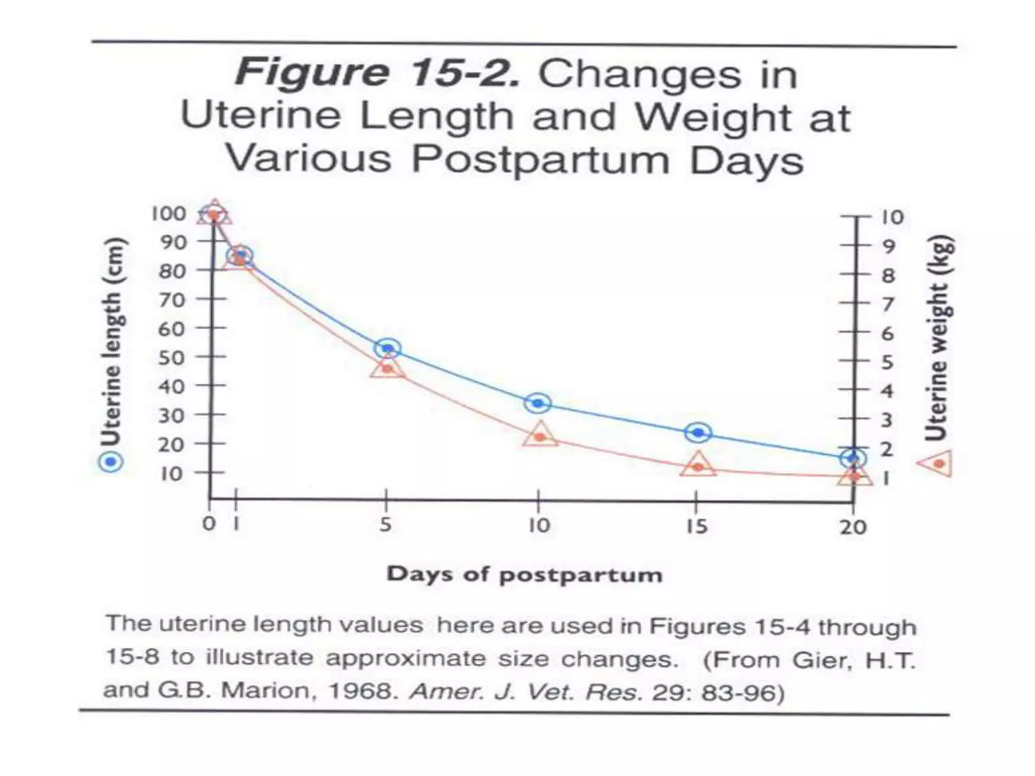 Uterine Involution in cattle | PPTX