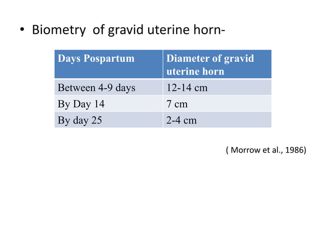 Uterine Involution in cattle | PPTX | Pregnancy | Reproductive Health