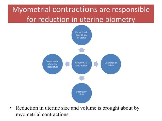 Uterine Involution in cattle | PPTX | Pregnancy | Reproductive Health