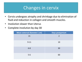 Uterine Involution in cattle | PPTX
