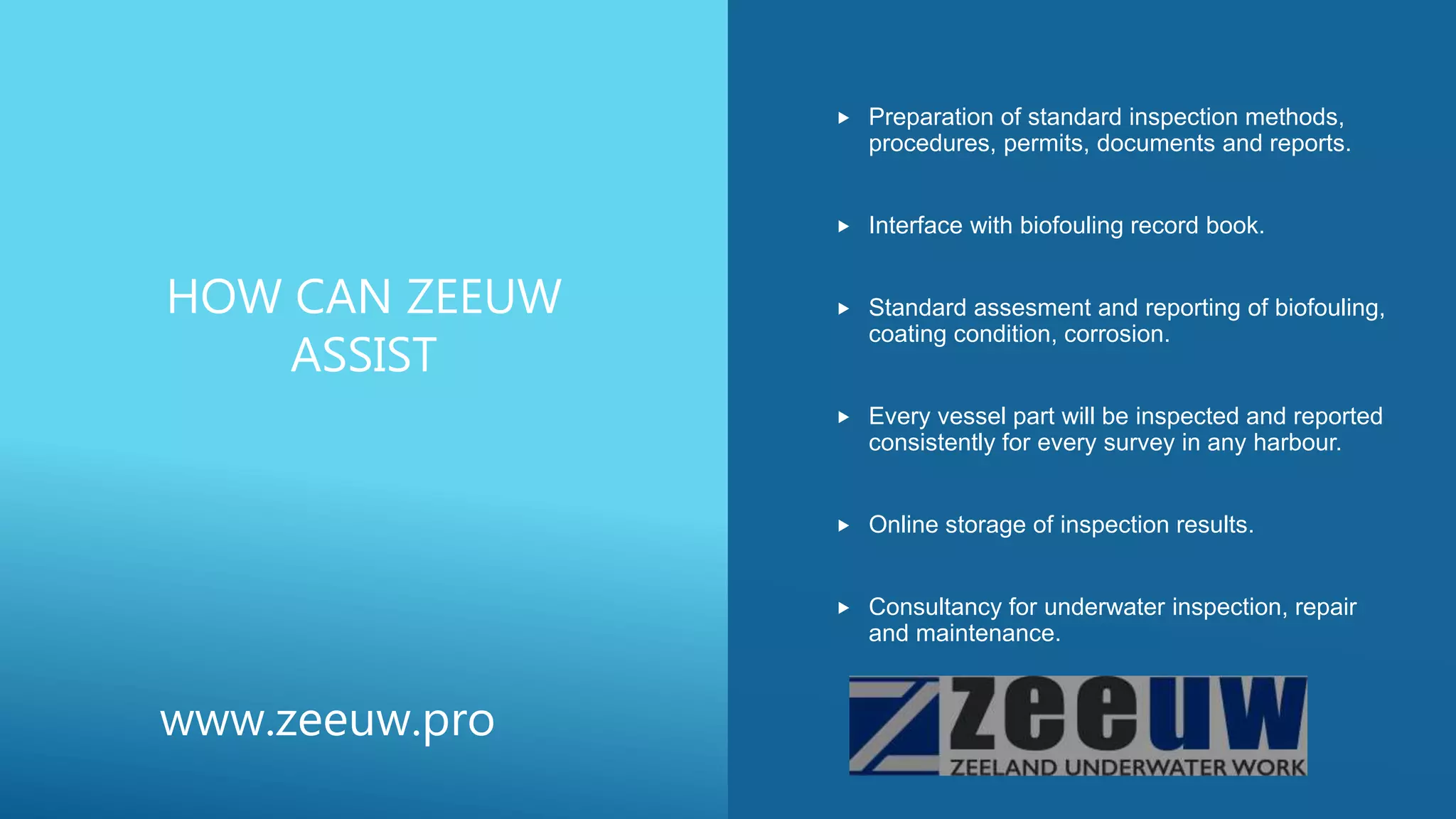 Inwater survey of vessels | PPT