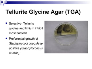 [Micro] bacterial selective & differential media | PPT