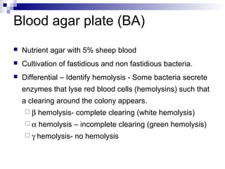[Micro] bacterial selective & differential media | PPT
