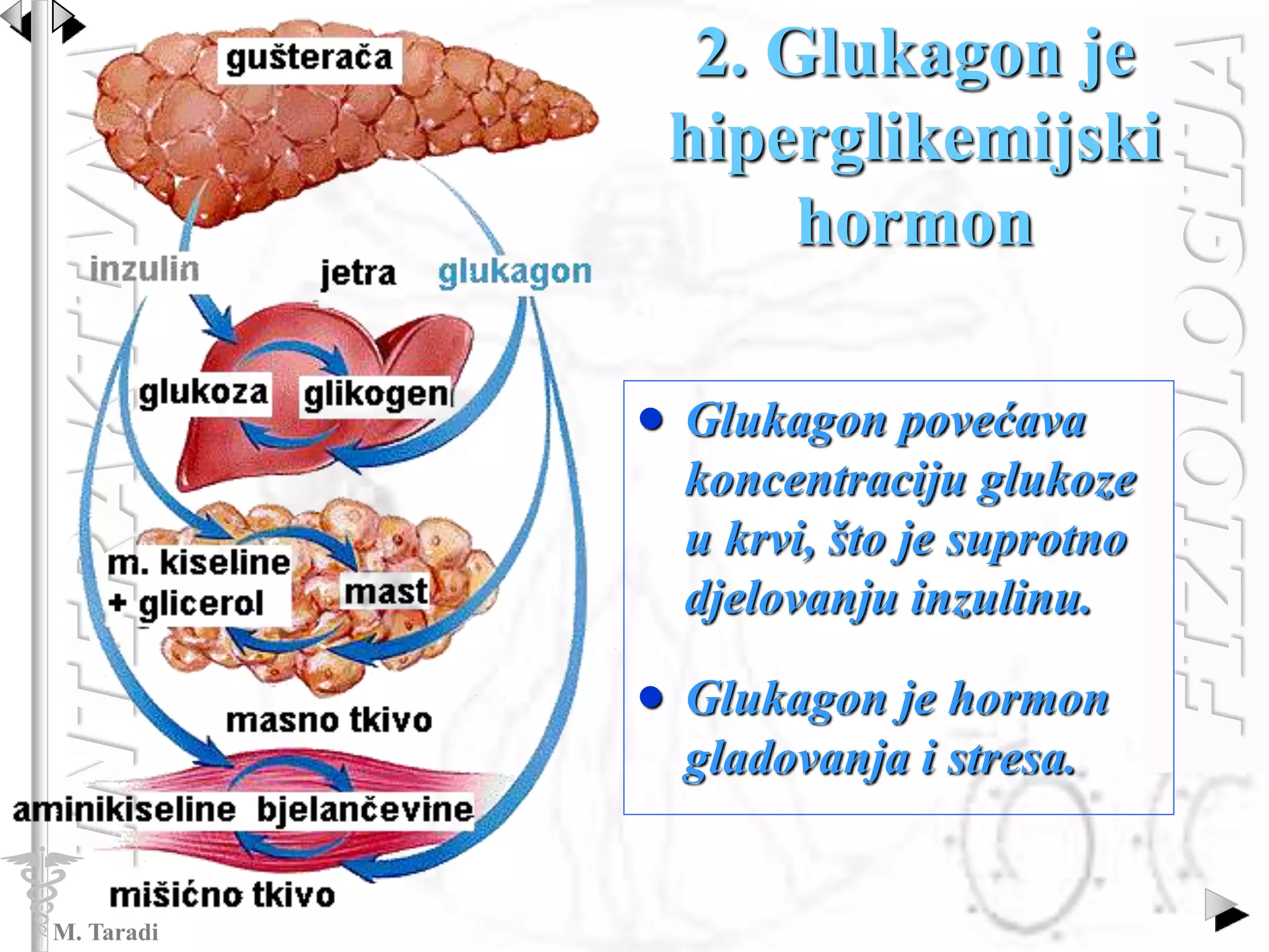 Inzulin i šećerna bolest | PPT