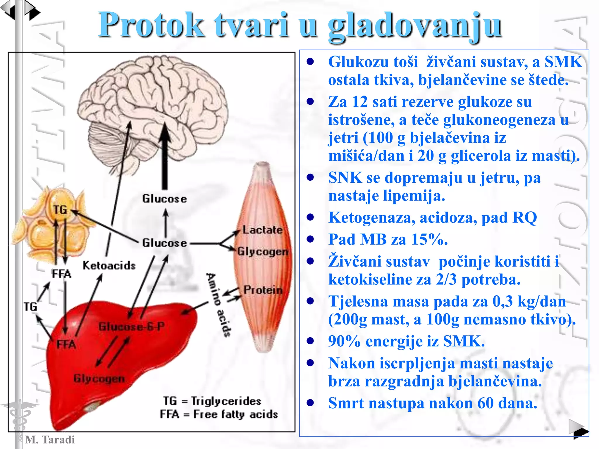 Inzulin i šećerna bolest | PPT