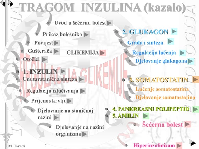 Inzulin i šećerna bolest | PPT