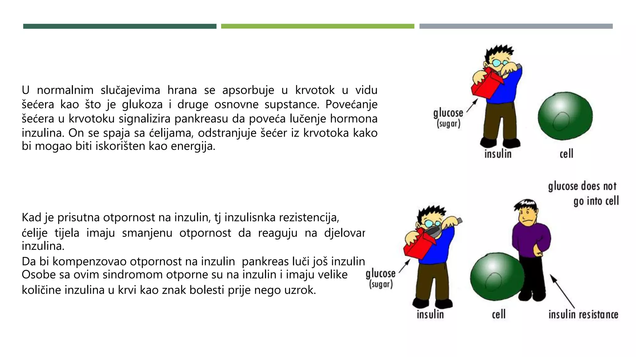 Inzulinska rezistencija | PPT