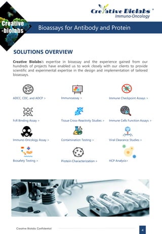 Cell Line Development | PDF