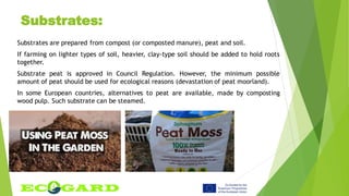 Unit 4. Seedling and Planting in Ecological Vegetable Gardening | PPT