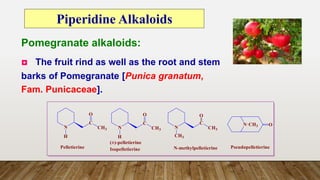 4-_Piperidine_and_pyridine.pptx