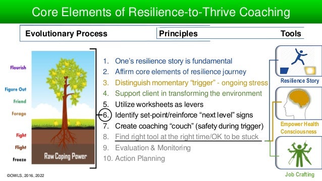 Resilience to Thrive Coaching A Science to Practice Approach | PDF