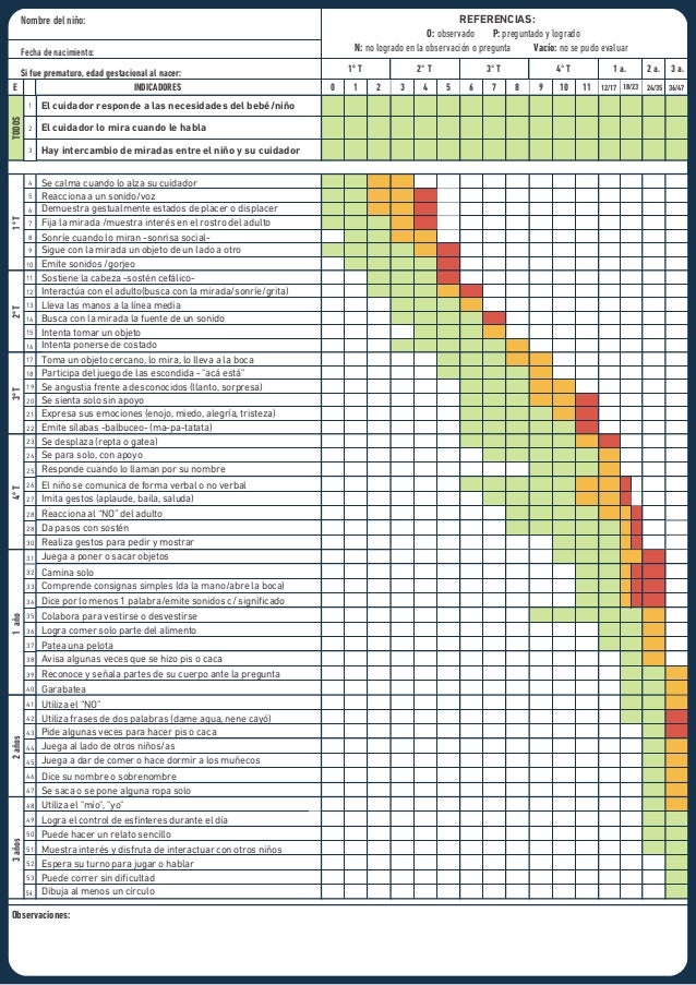 IODI - INSTRUMENTO DE OBSERVACIÓN DEL DESARROLLO INFANTIL