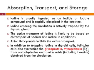Iodine | PDF