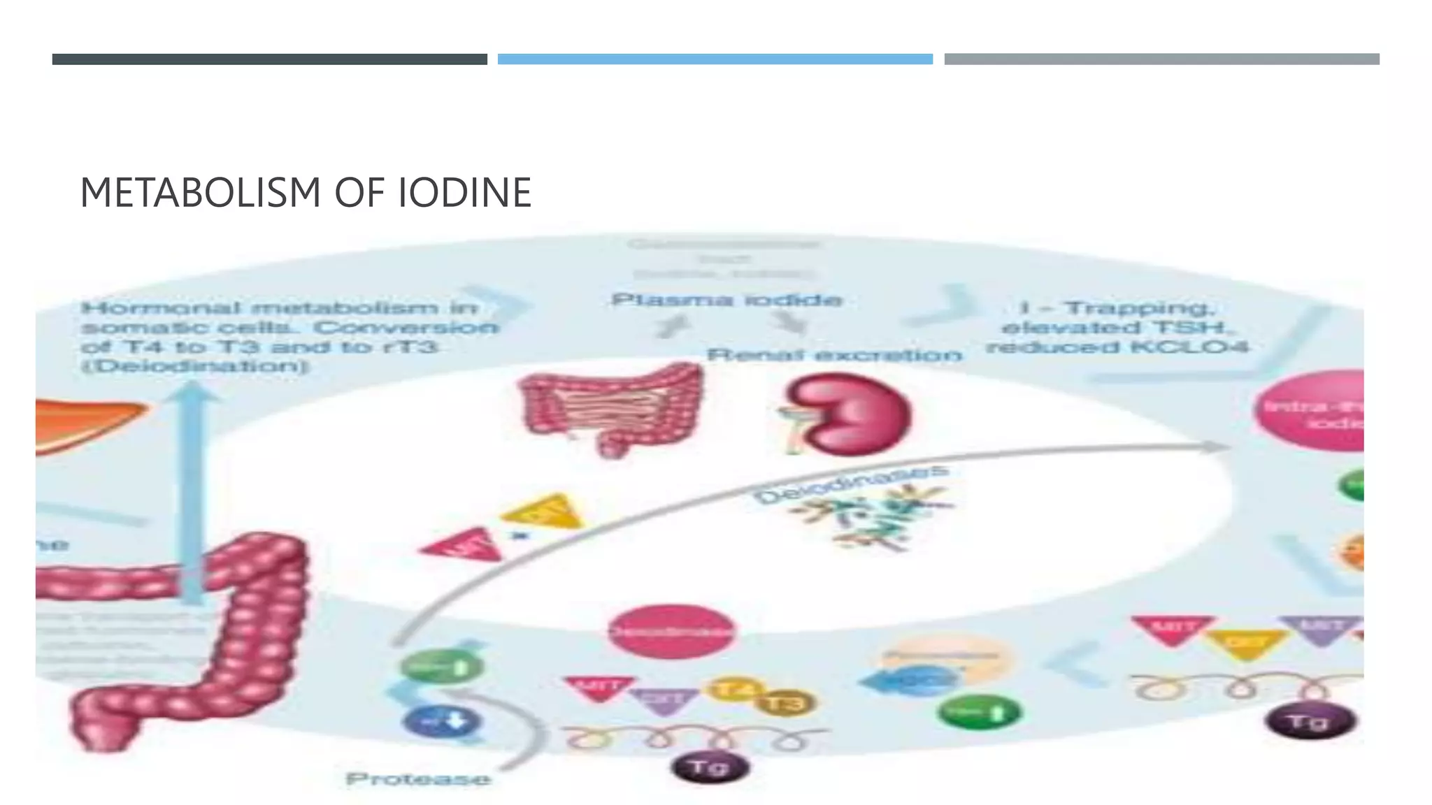 Iodine1.pptx