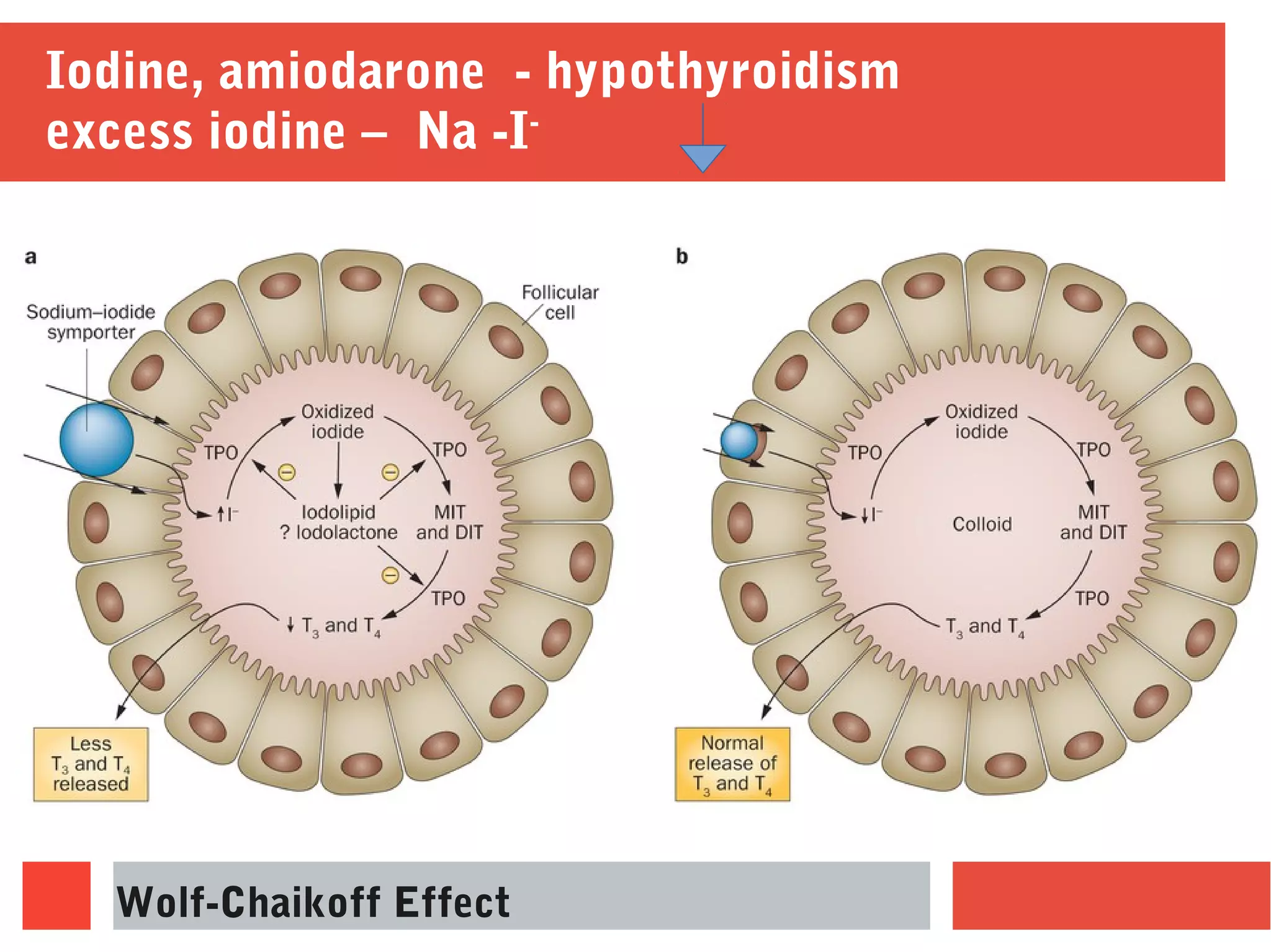 Iodine ppt | PPT