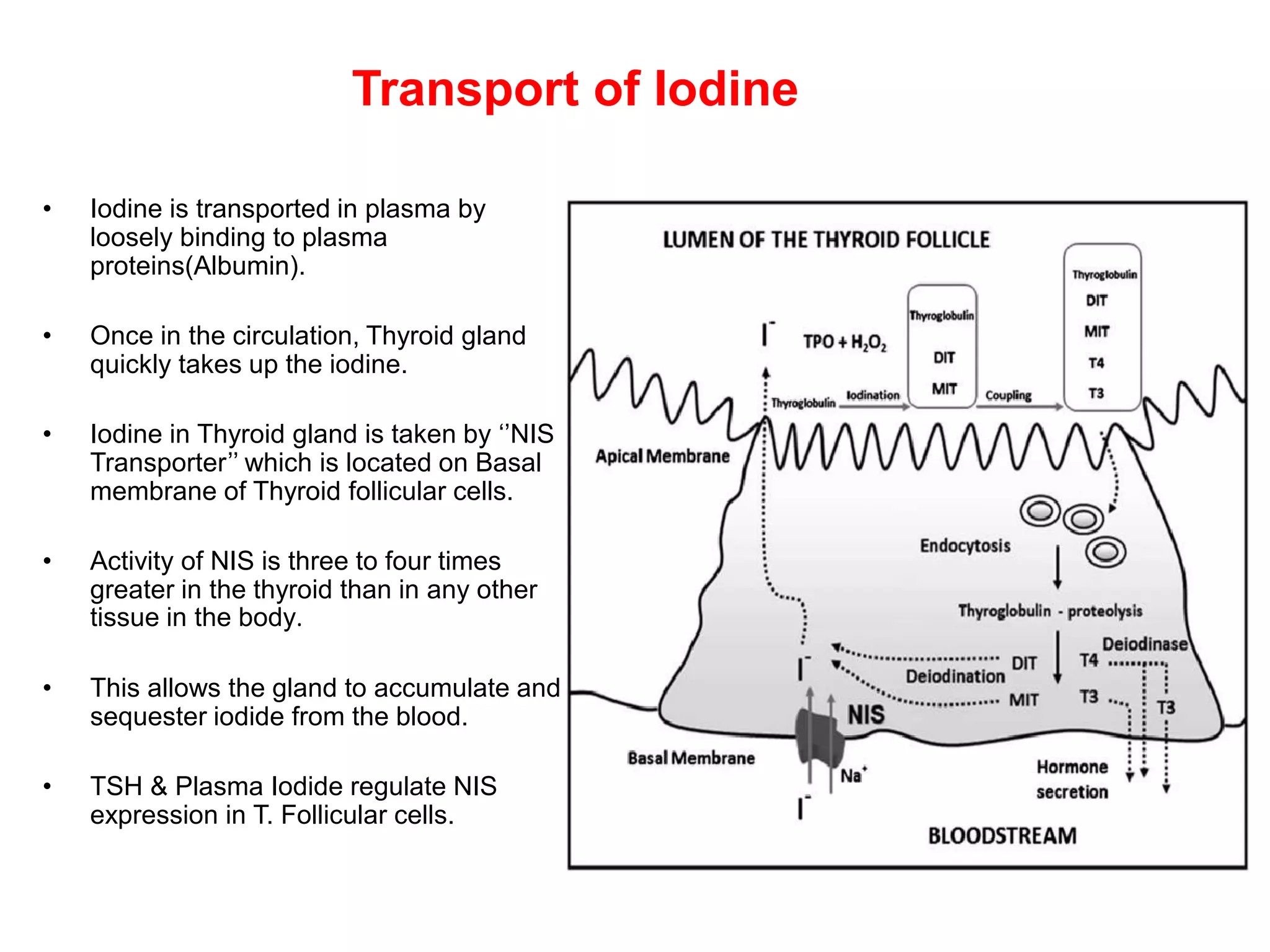 IODINE QUANTIFICATION BY AYAZ.pptx