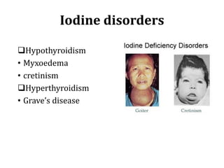 Iodine, zinc and selenium | PDF