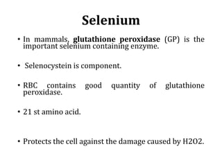 Iodine, zinc and selenium | PDF