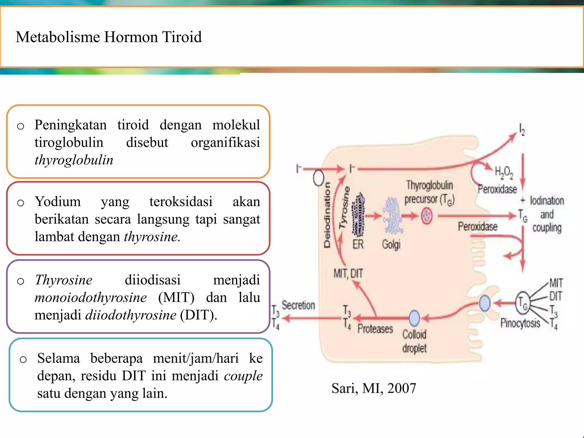 Iodium [autosaved] | PPTX