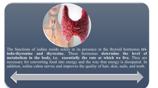 Iodum:- The Homoeopathic Medicine | PPS | Thyroid Disorders | Endocrine ...