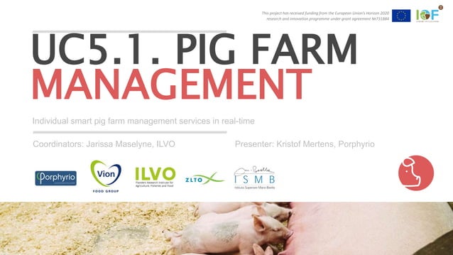Pig farm management | PPTX | Agriculture | Industries