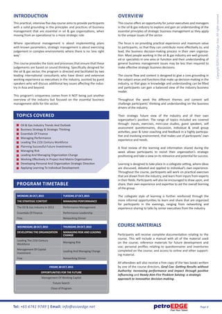 International Oil & Gas Executive Development Training | PDF