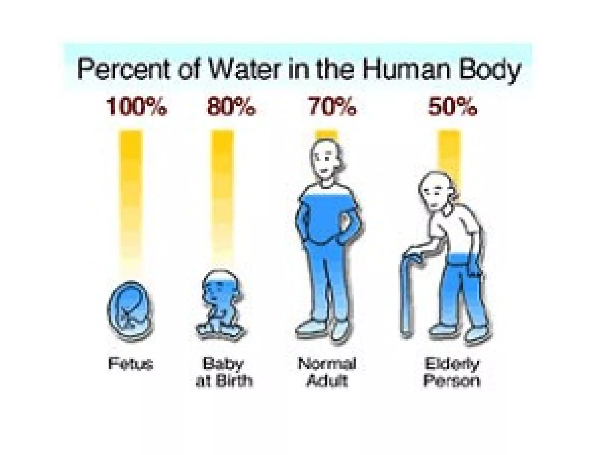 Intake Output Chart Guidelines | PPT