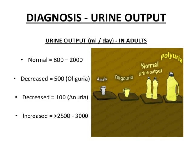 Intake Output Chart Guidelines | PPT | Medical Health