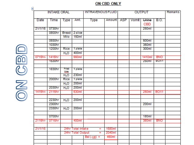 Intake Output Chart Guidelines | PPT | Medical Health