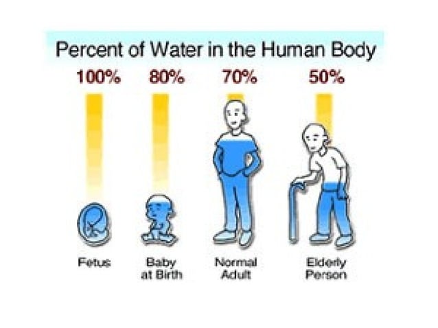 Intake Output Chart Guidelines | PPT | Medical Health