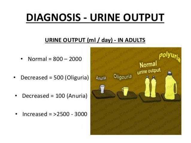 Intake Output Chart Guidelines