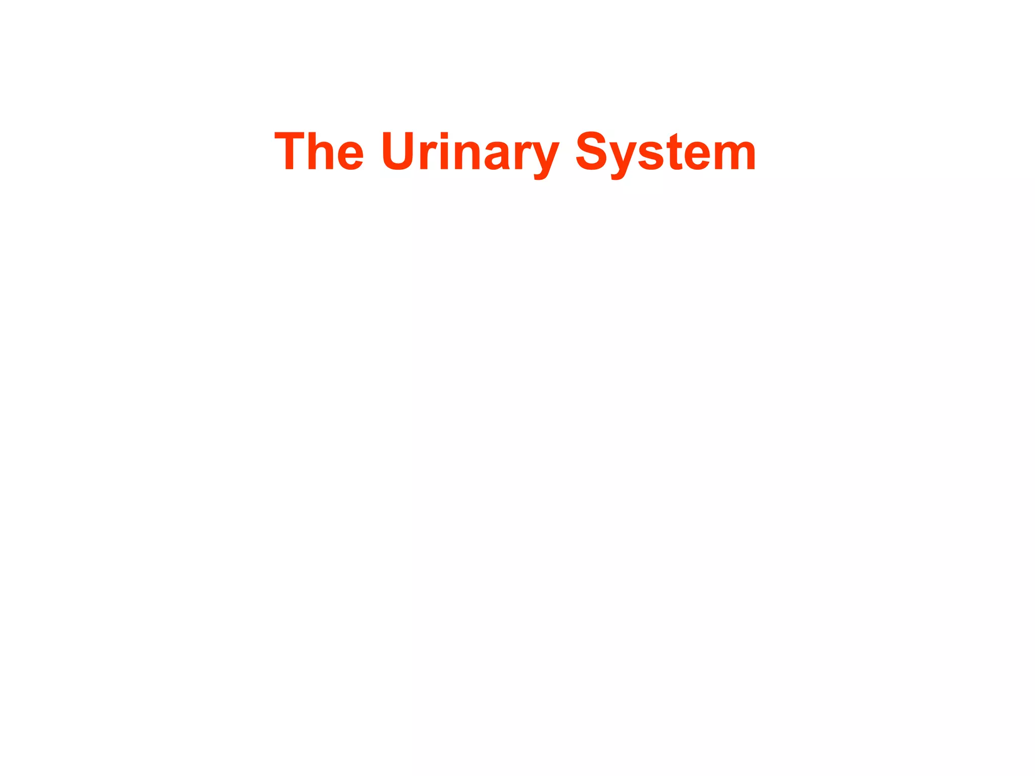 Urinary | PPT