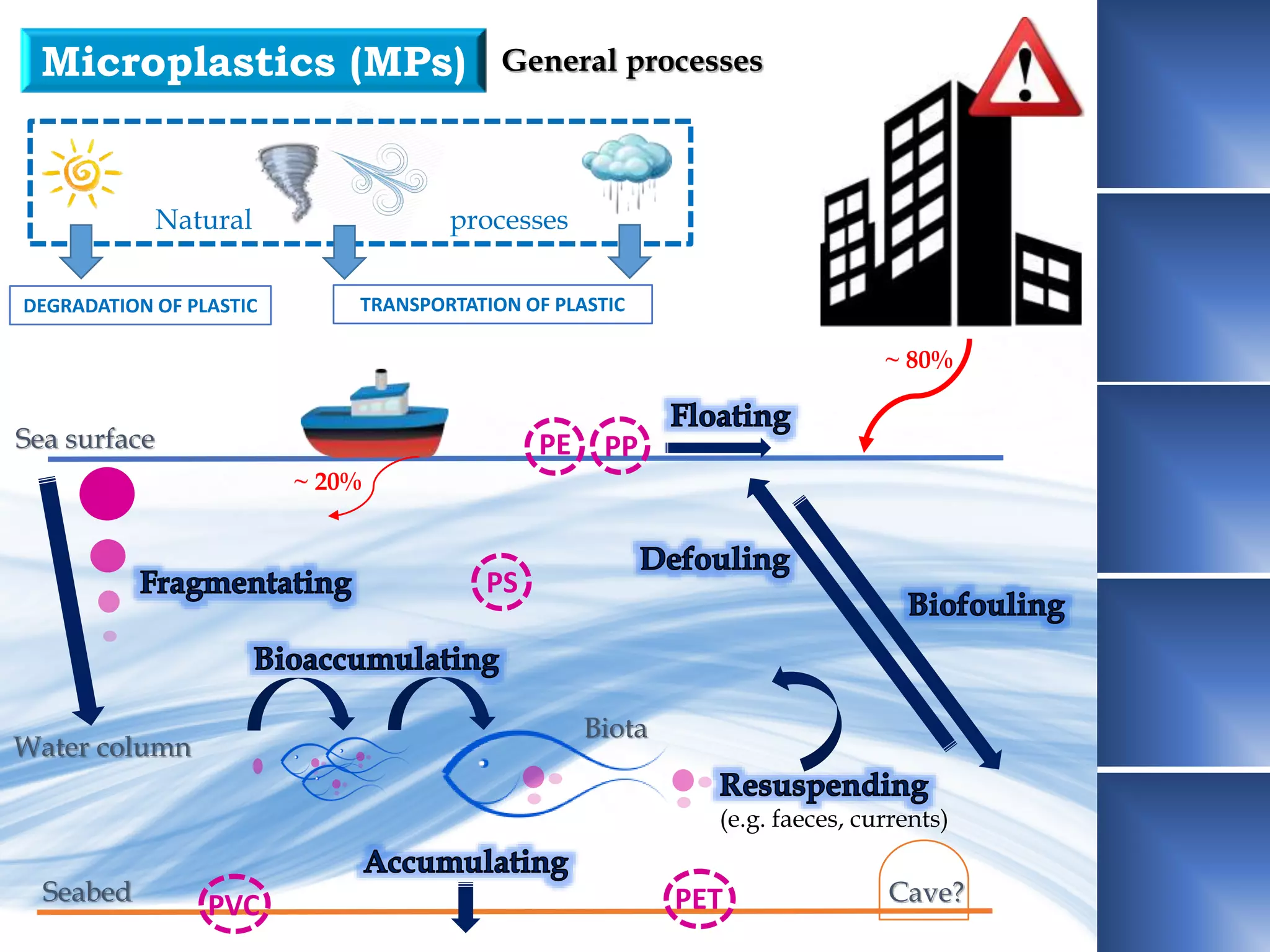 Microplastics - my experience as a PhD student | PPTX