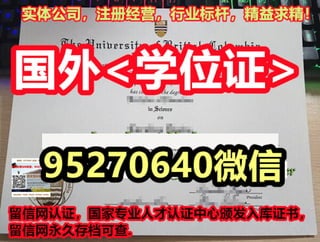 USYD成绩单 | PDF