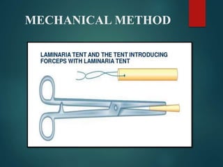 Laminaria Tent Introducing Forceps