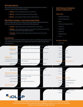 Overview of iOLAP Consulting Services | PDF
