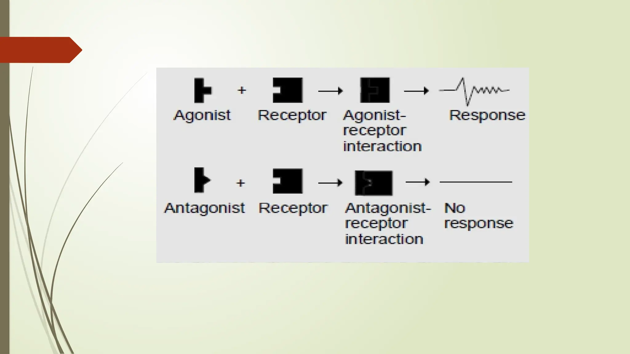 Ion-channel-linked receptors ........... | PPTX
