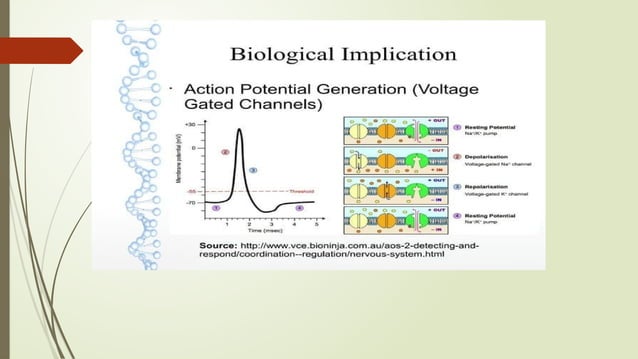 Ion-channel-linked receptors ........... | PPTX