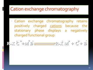 Ion-Exchange-Chromatography.pptx