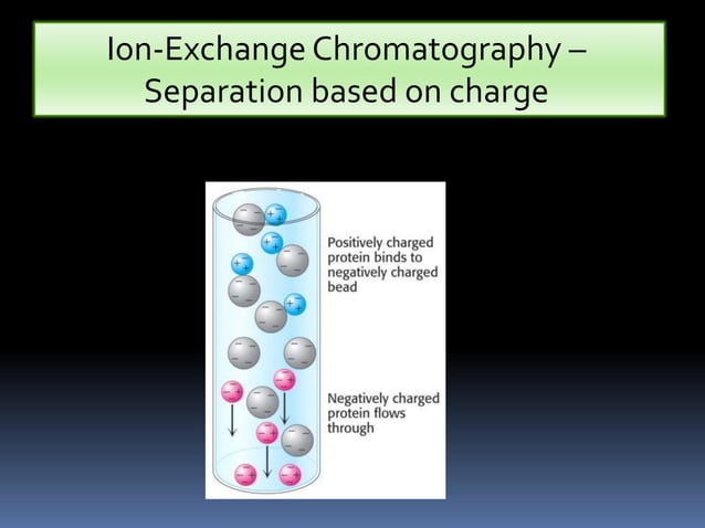 Ion-Exchange-Chromatography.pptx