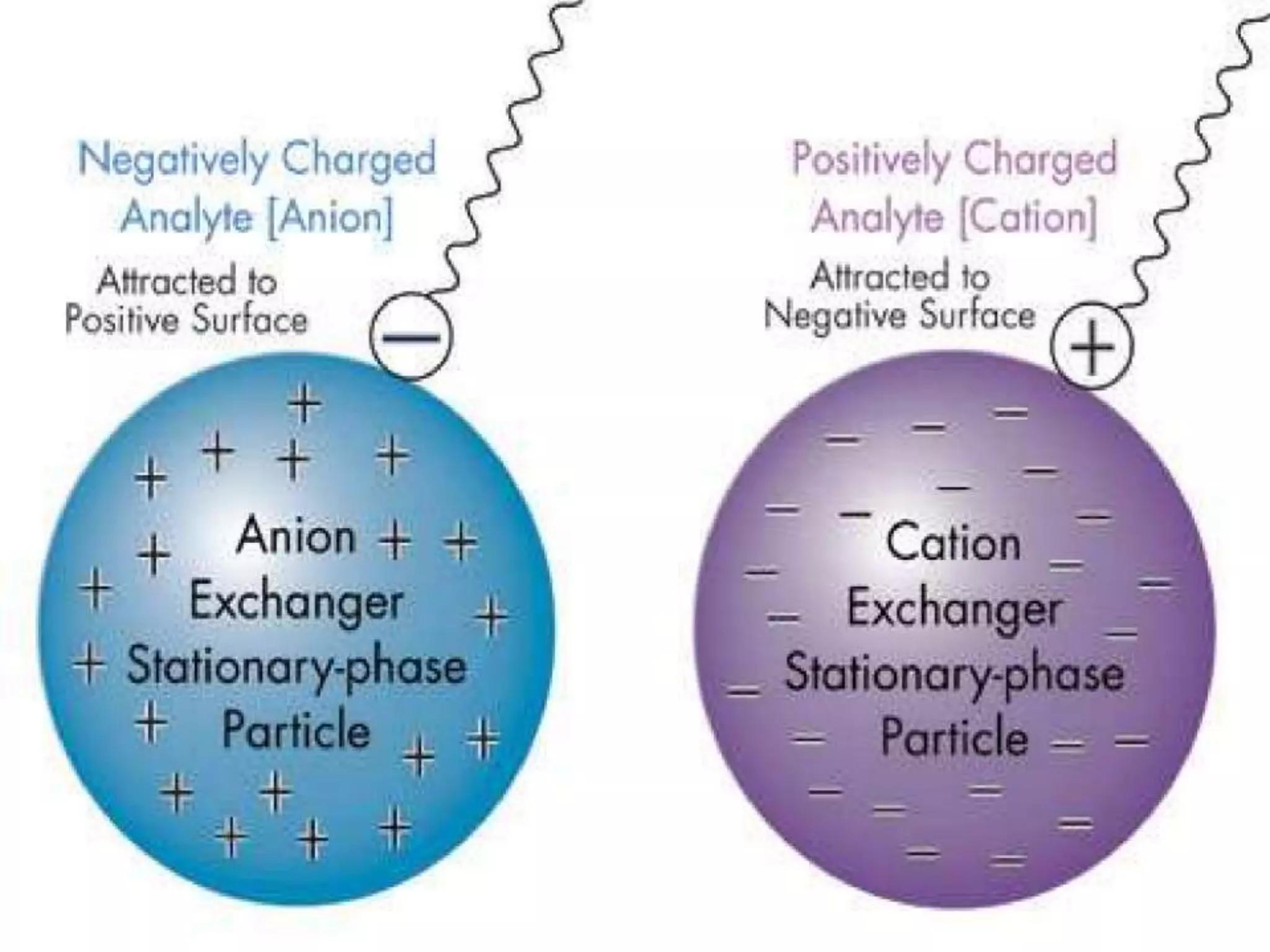 Ion exchange chromatography | PDF
