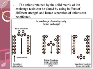 Ion exchange chromatography | PDF