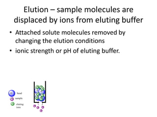 Ion exchange chromatography | PPT